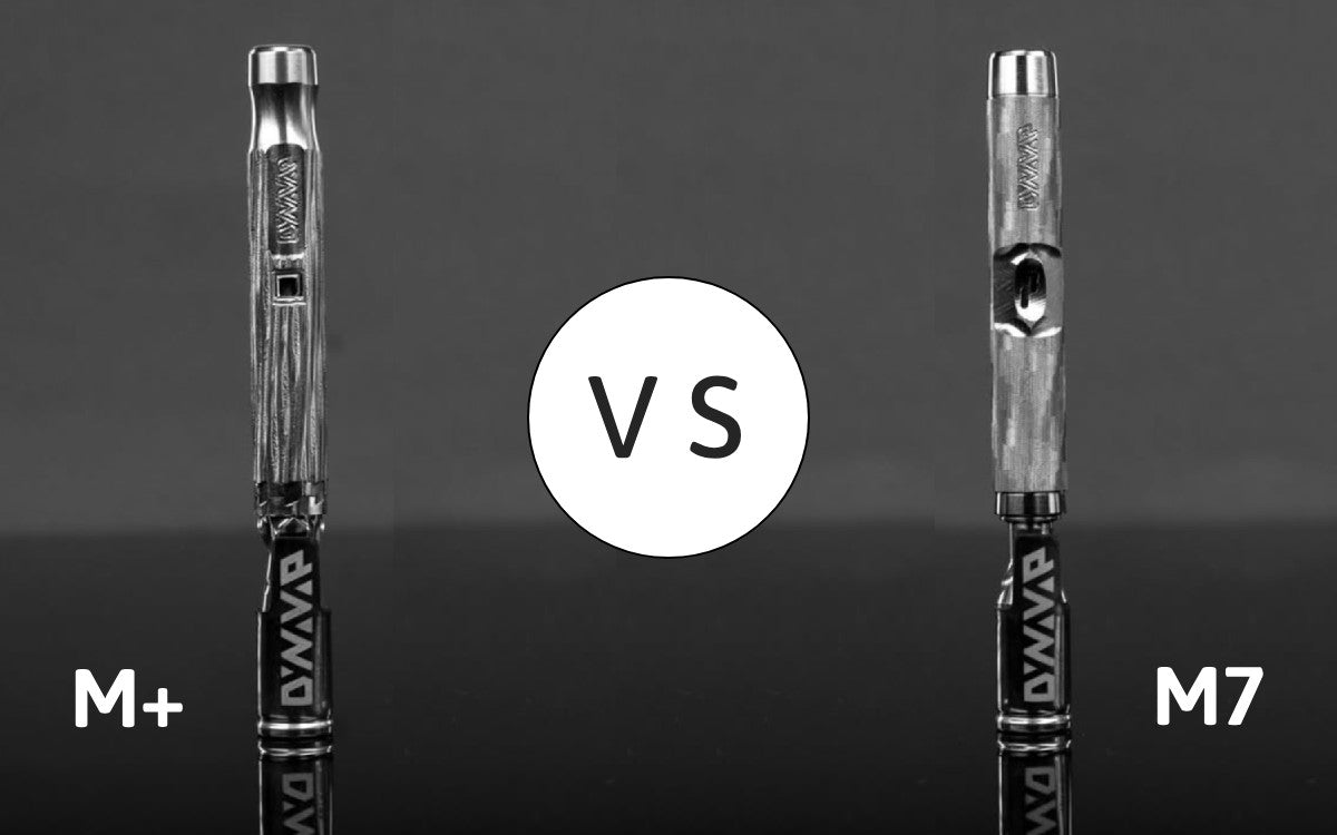 Dynavap M7 vs M Plus - Who is the Champoin? – Herbalize Store UK